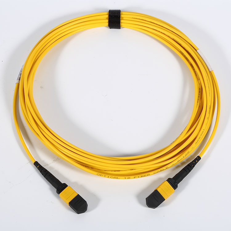 MPO MTP Fiber Optic Patch Cable 0.5dB Insertion Loss PVC Jacket 12 / 24 ... MPO MTP Fiber Optic Patch Cable 0.5dB Insertion Loss PVC Jacket 12 / 24 ...
